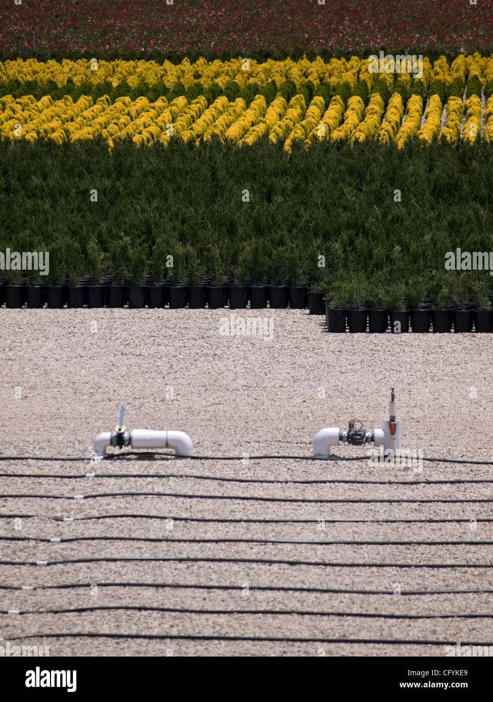Camarillo, California 5/27/07 Farm fields in Camarillo, California ...
