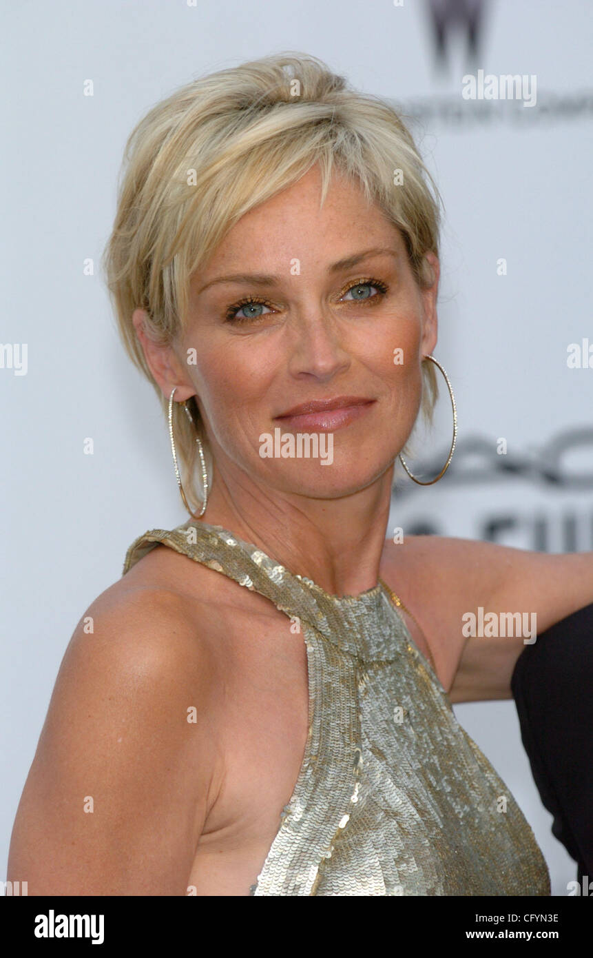 Sharon stone at amfAR's Cinema Against AIDS event, presented by Bold ...