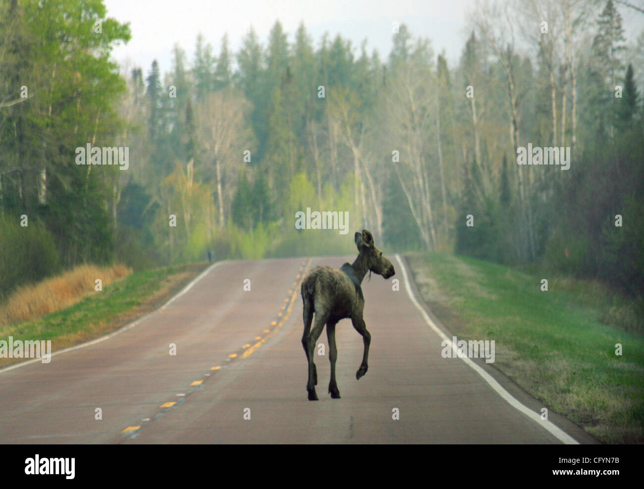 Welcome Wagon High Resolution Stock Photography and Images - Alamy