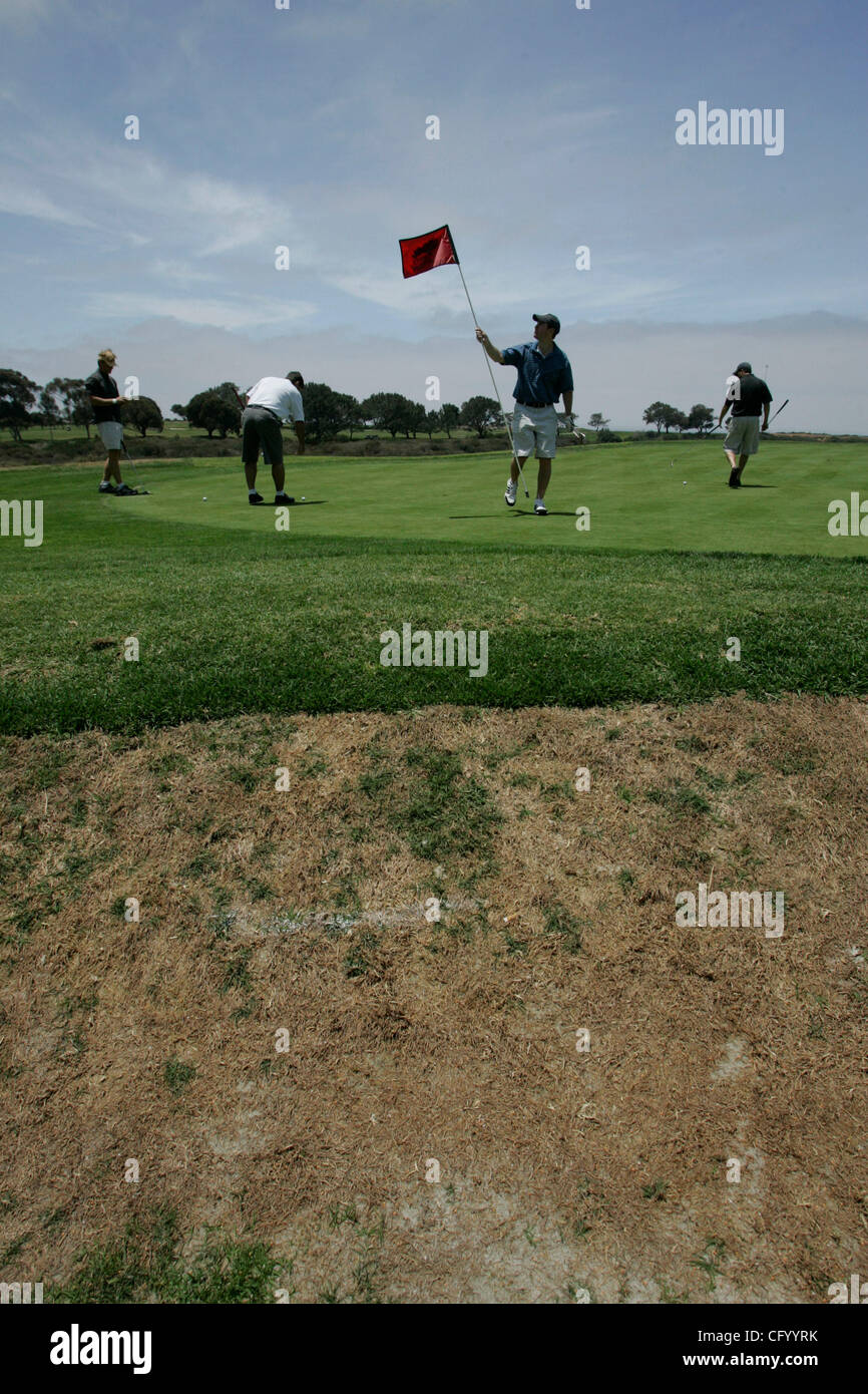 Dead grass on golf course hi-res stock photography and images - Alamy