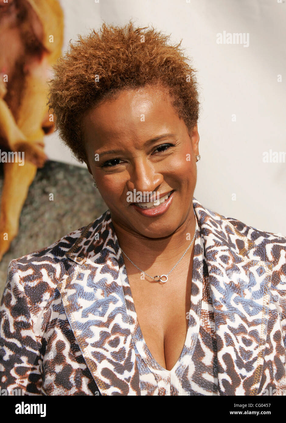 Wanda sykes headshot hi-res stock photography and images - Alamy