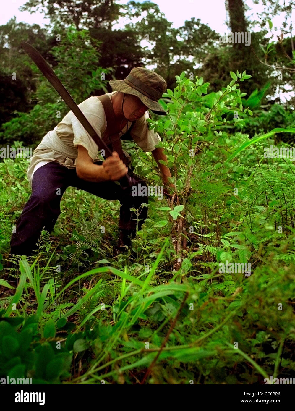 Jun 21, 2007 - Chapare, Bolivia - Military Special Coca Erradication ...