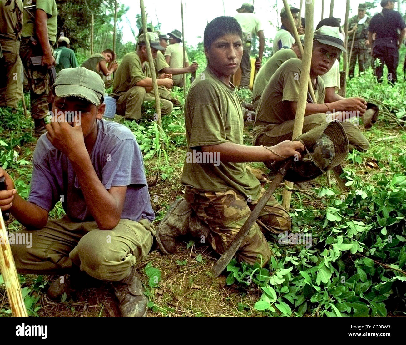 Chapare province hi-res stock photography and images - Alamy