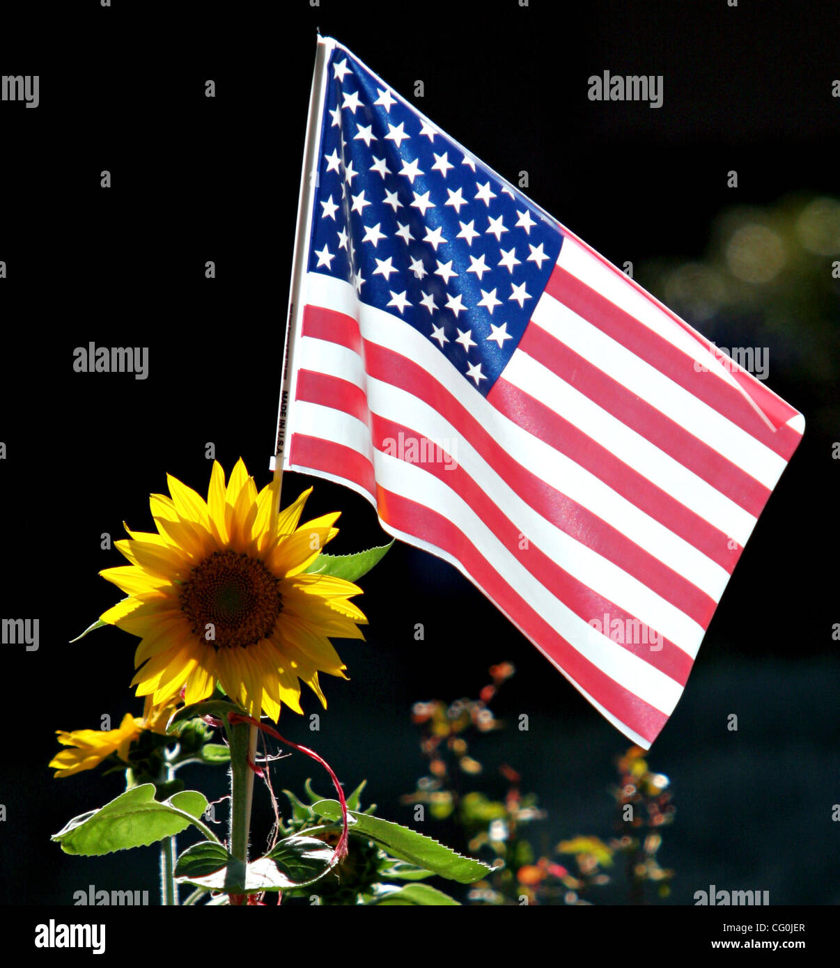 An American flag and sunflower are seen along Woodroe Avenue on Tuesday ...