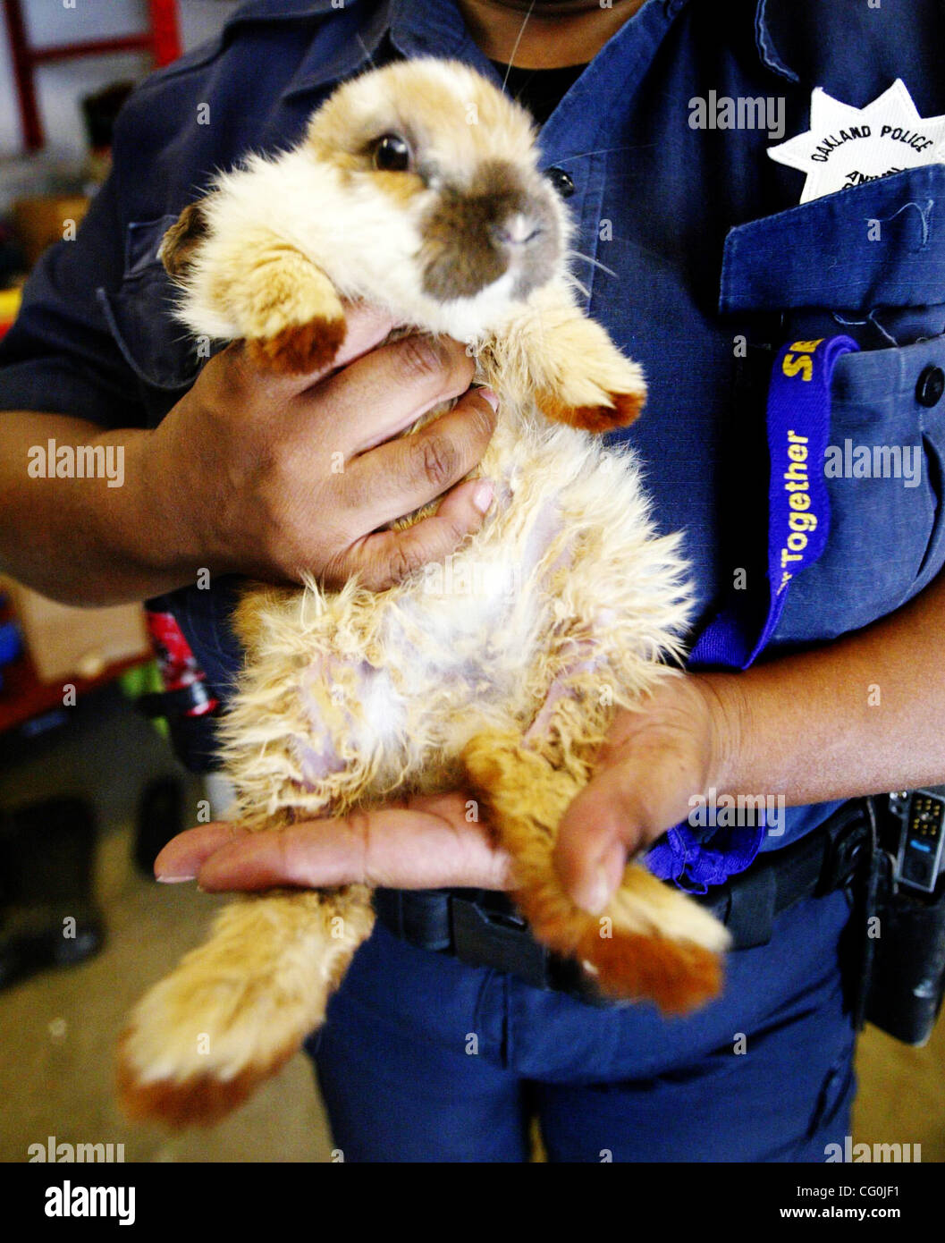 Animal Control officer Amaka Watson holds an starving four-week-old ...