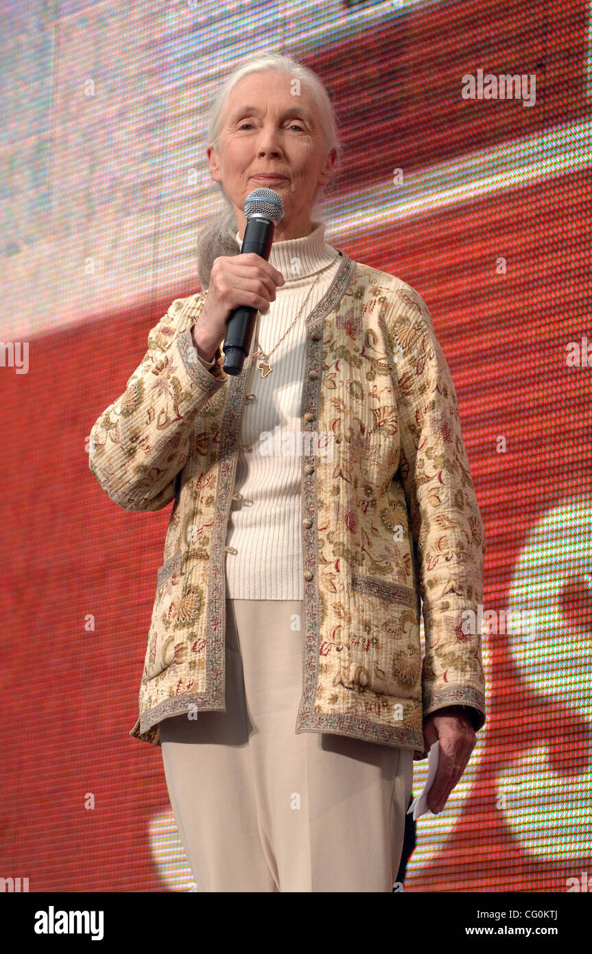 Jane rutherford hi-res stock photography and images - Alamy