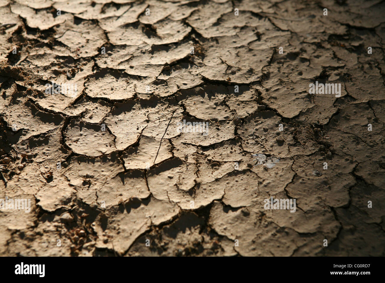 Jul 12, 2007 - Alice Springs, Northern Territory, Australia - Parched ...