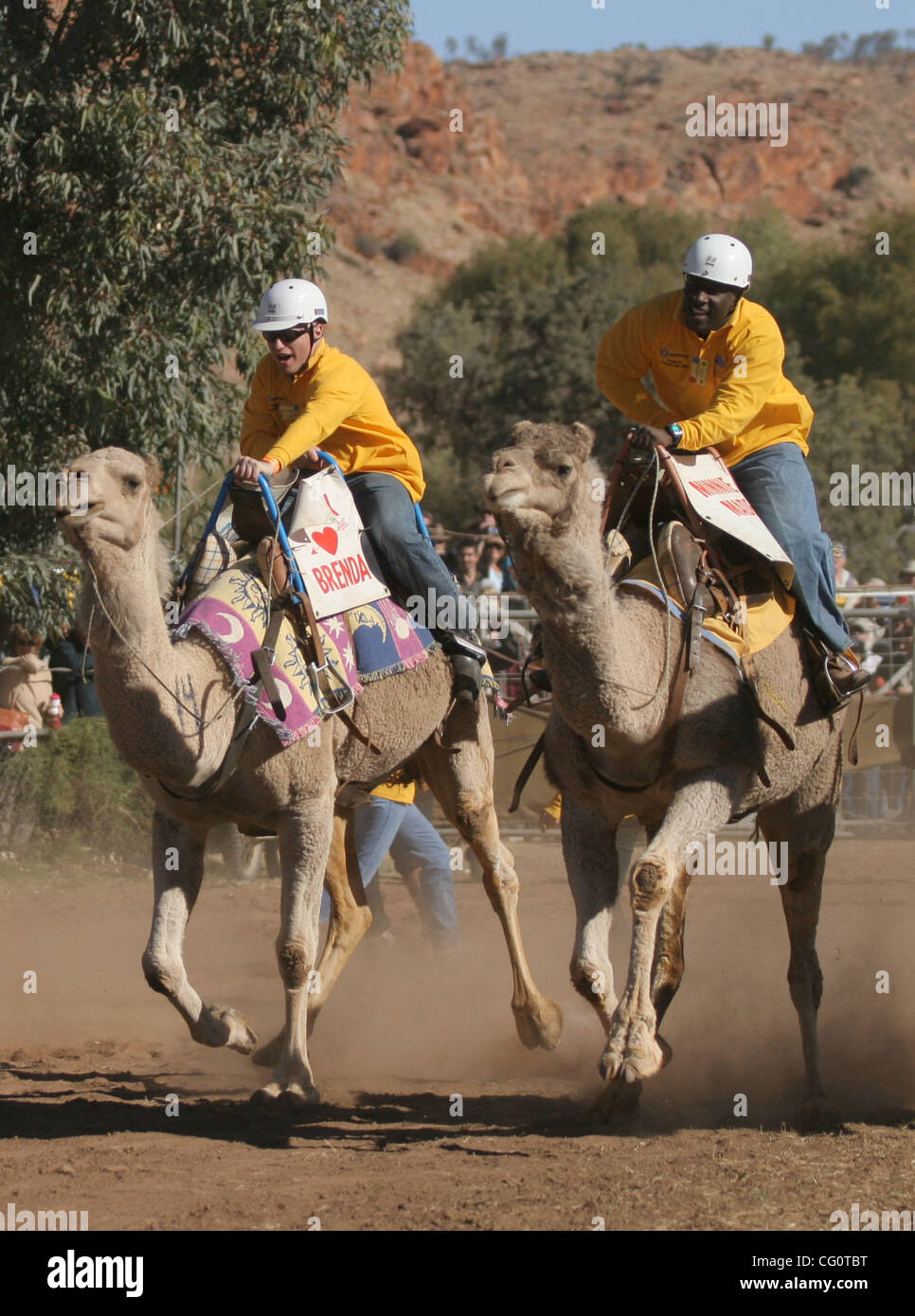 Australia outback camel race hi-res stock photography and images - Alamy