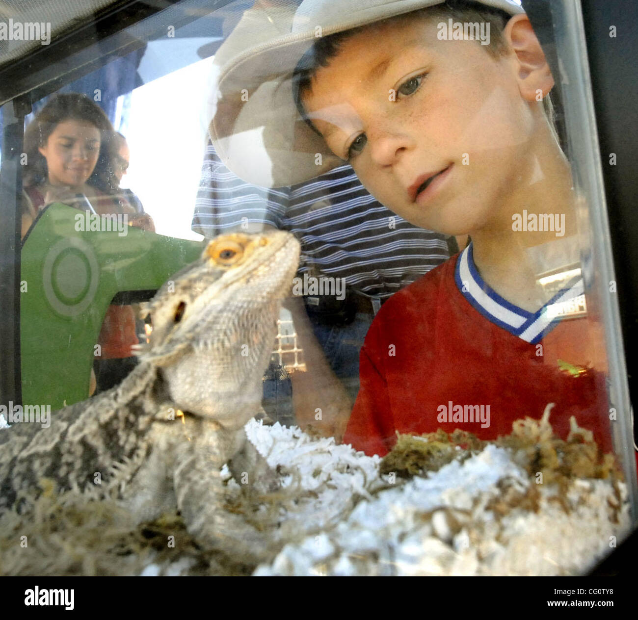 Trey Metzner 6, of Camas, Washington, looks at a Bearded Dragon on ...