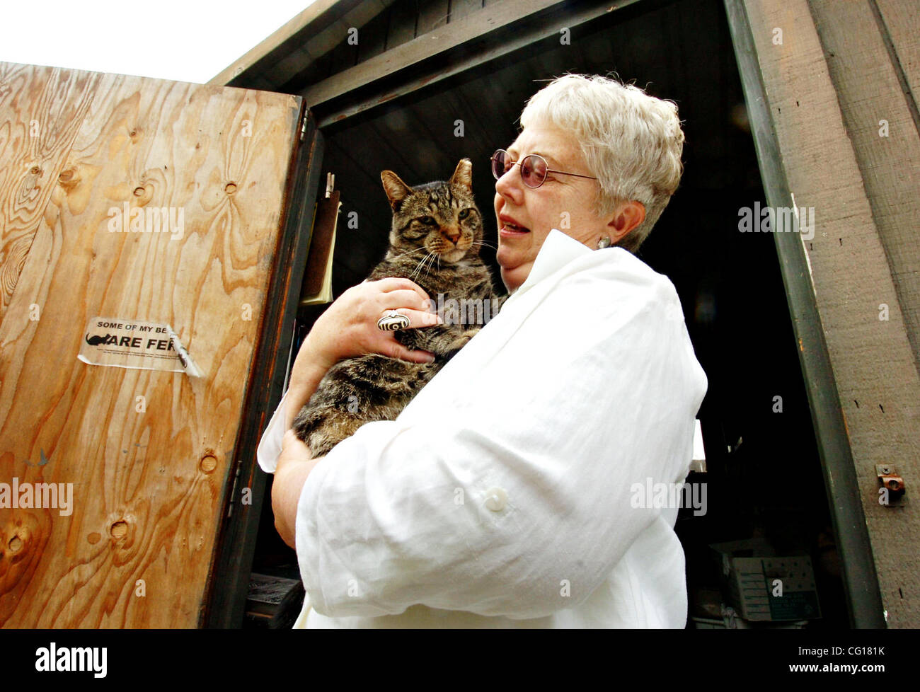 Dana Smith holds stumpy, a 6-year-old male feline, near the "Cat Barn ...