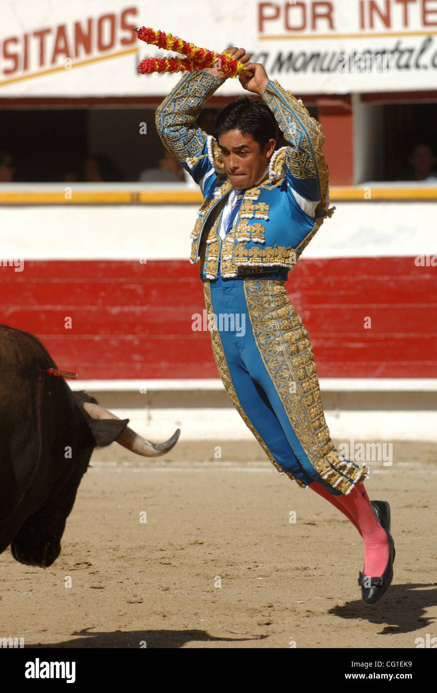 Bullfighter Rafael Ortega leaps and stabs banderillas in the back of ...