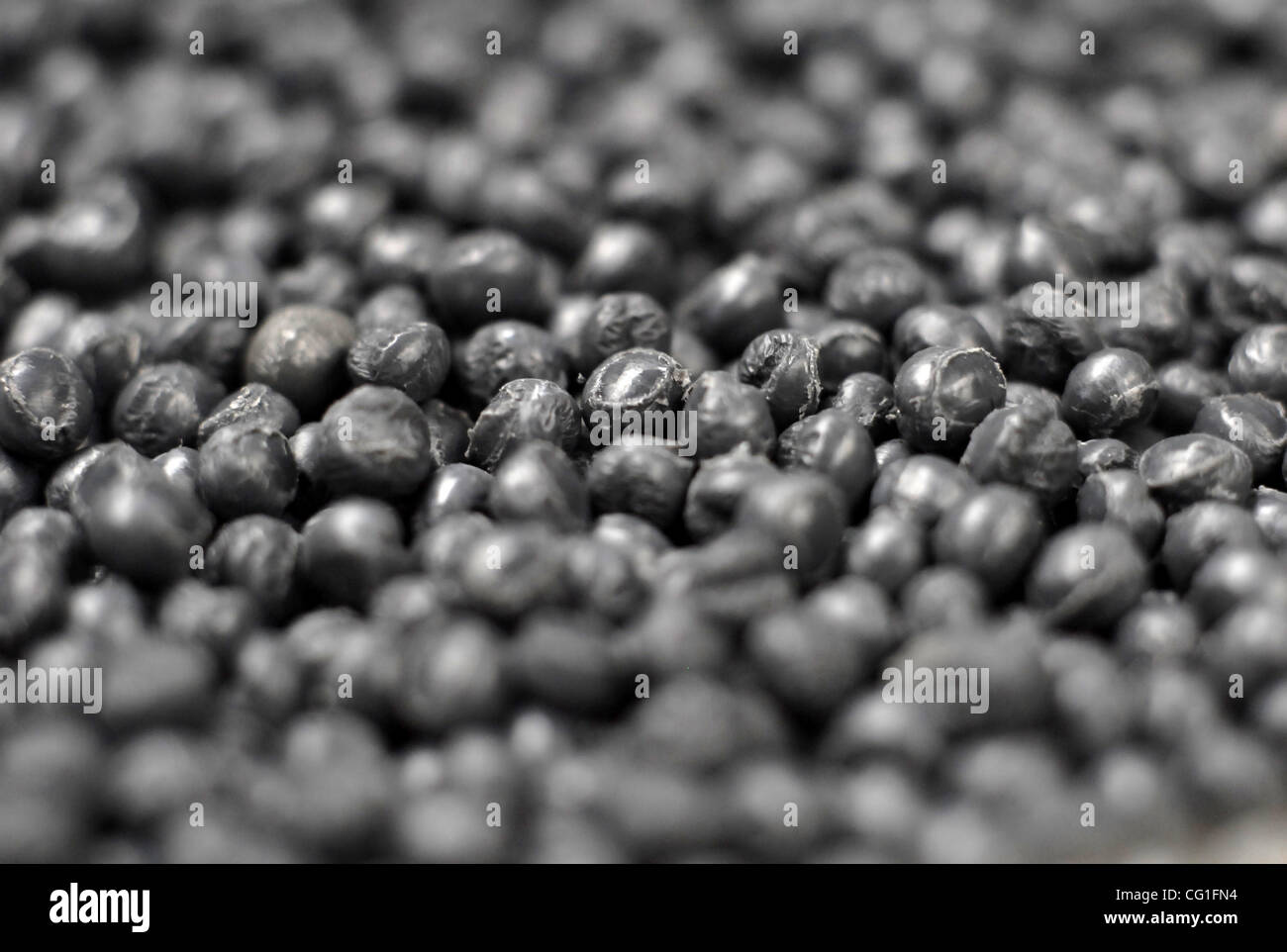 A sample of extruded plastic pellets made from recycled shredded ...