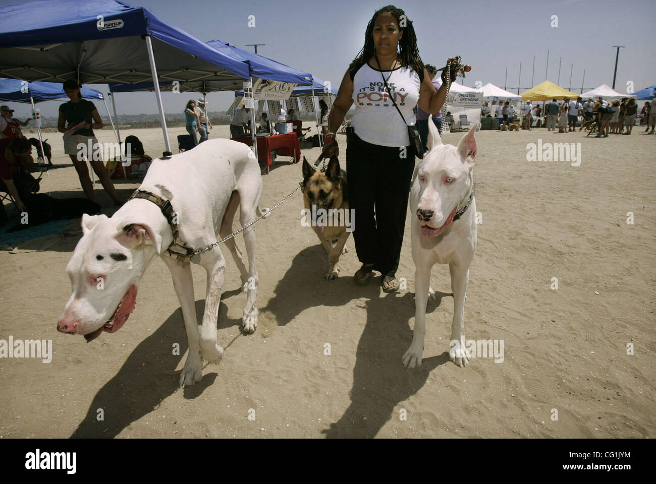 AUGUST 19, 2007, SAN DIEGO, CA, USA , DIANA TAYLOR walked with her ...