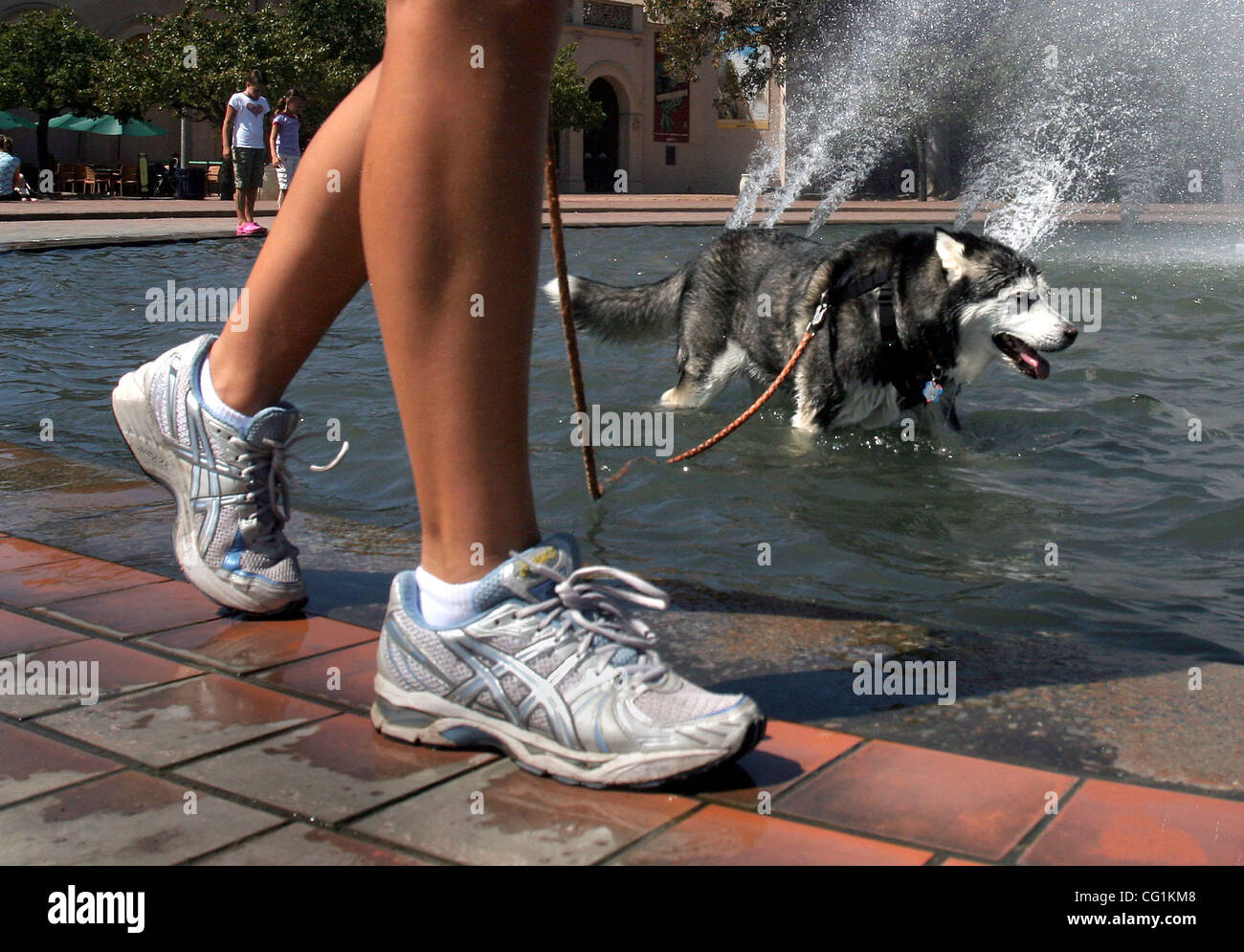 Colleen hansen hi-res stock photography and images - Alamy