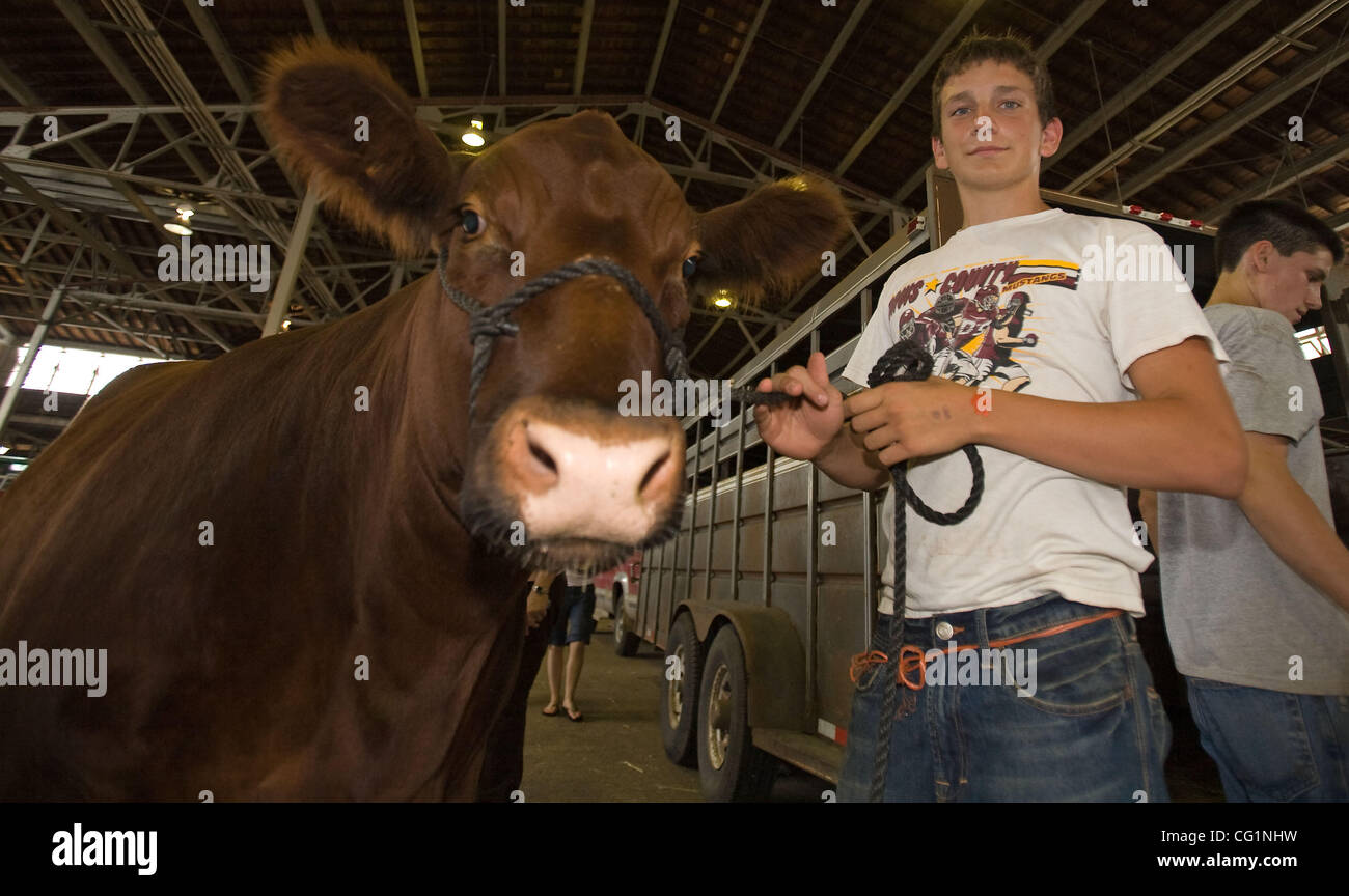 Iowa state fair cow hi-res stock photography and images - Alamy