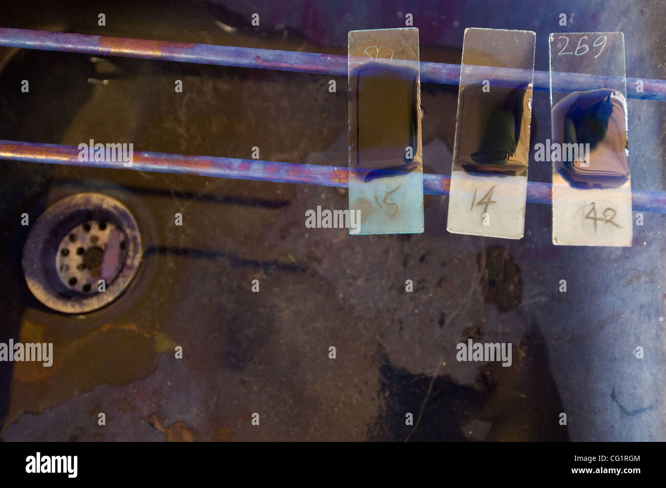 August 27, 2007, Mwanza, Tanzania - Microscope slides are used to test ...