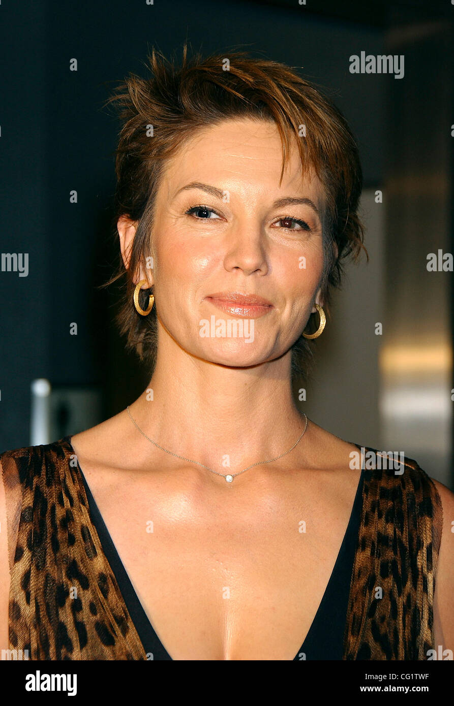 Diane West's Instagram, Twitter & Facebook on IDCrawl