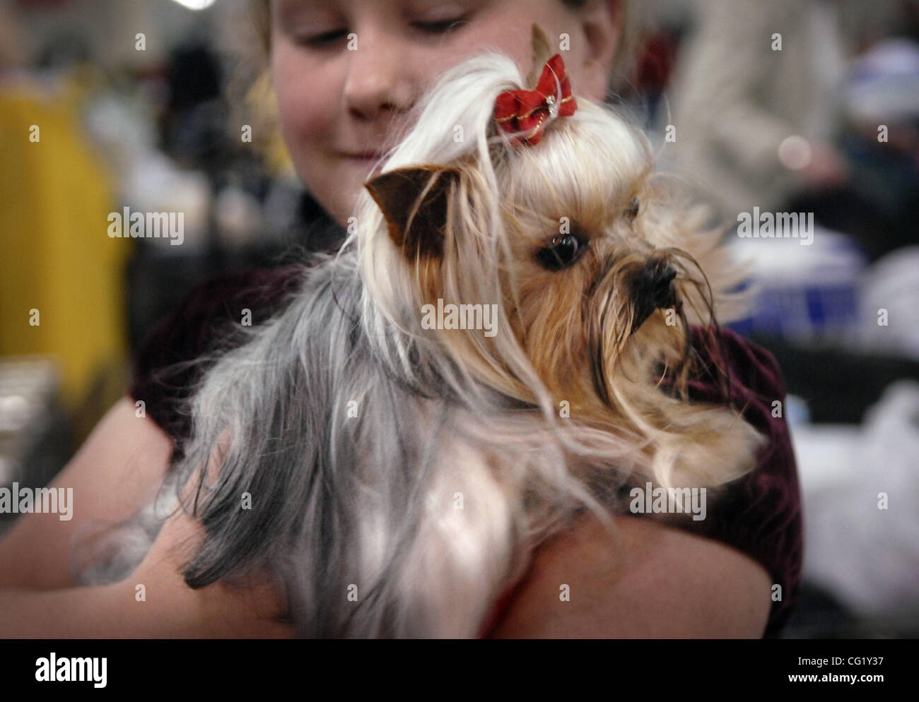Darcy fleming hi-res stock photography and images - Alamy