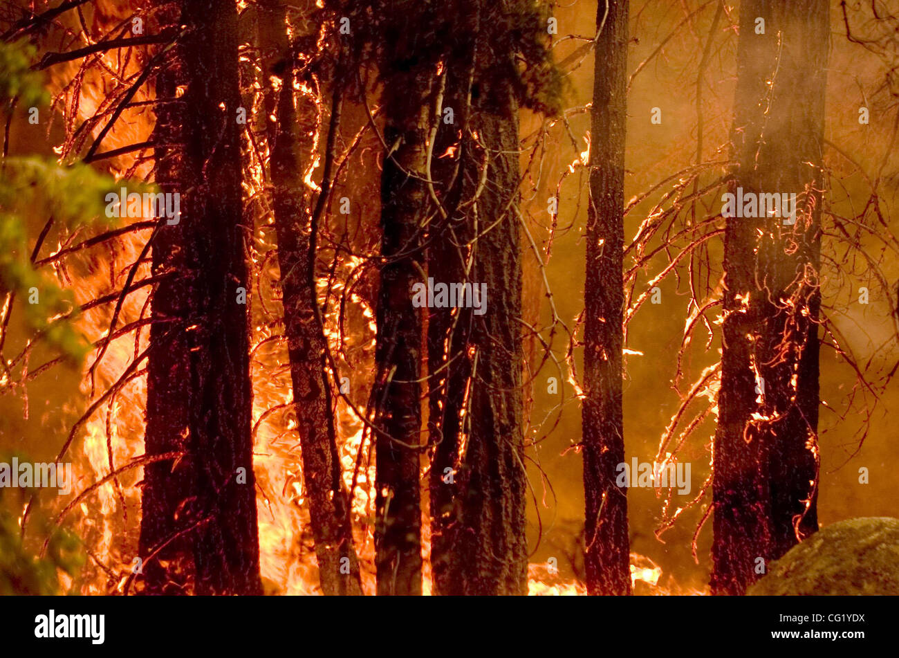 ONLINE CAPTION Trees are ablaze with a fire set by firefighters near ...