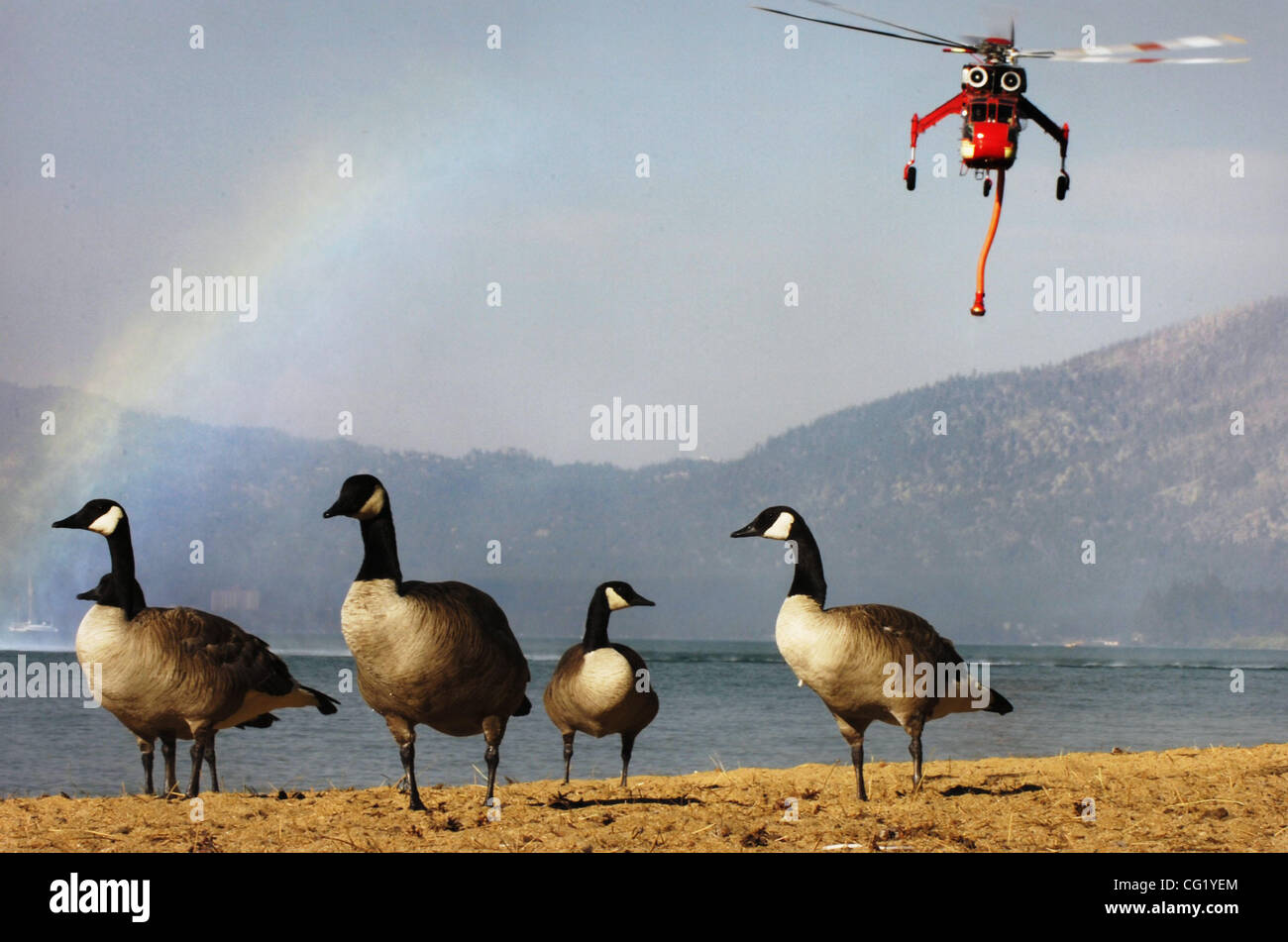 A helicopter fills up with water to fight the Angora fire while geese ...
