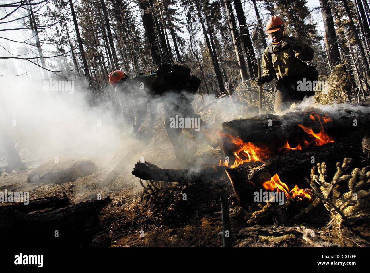 From left, Mendicino National Forest employees, Grayson Hartman, sawer ...