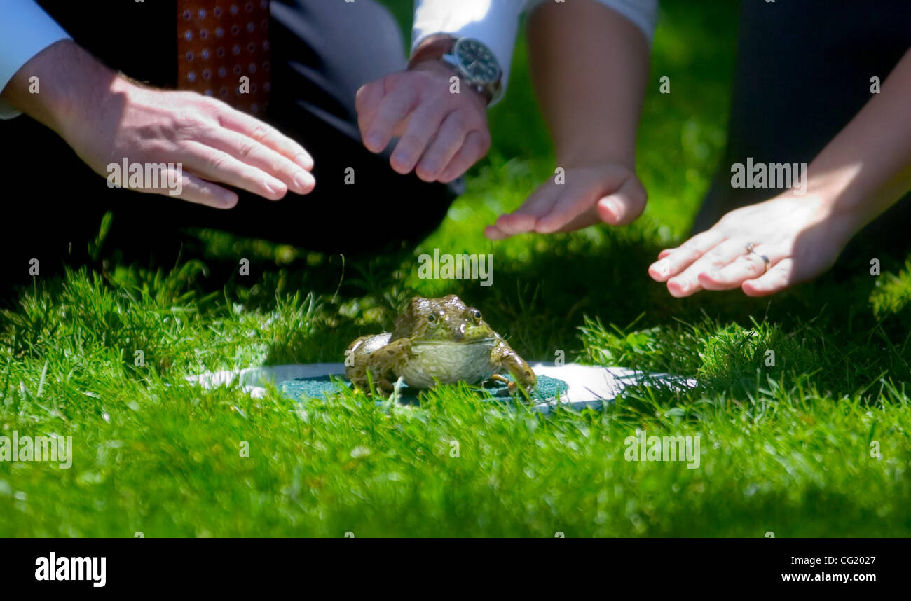 SECOND A trio of contestants attempt to get one frog to jump during the ...