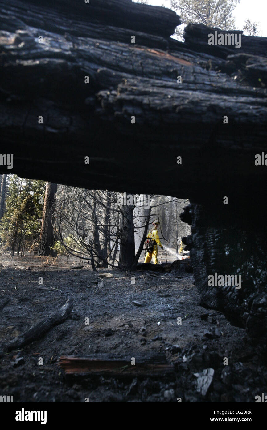 Kyle Lunsted a CDF firefighter from Vacaville cleans up on Gardener ...