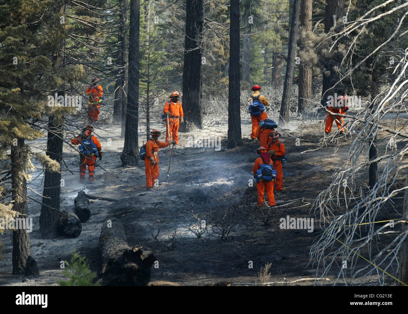 A crew of firefighters works on Gardener Mountain fighting the Angora ...