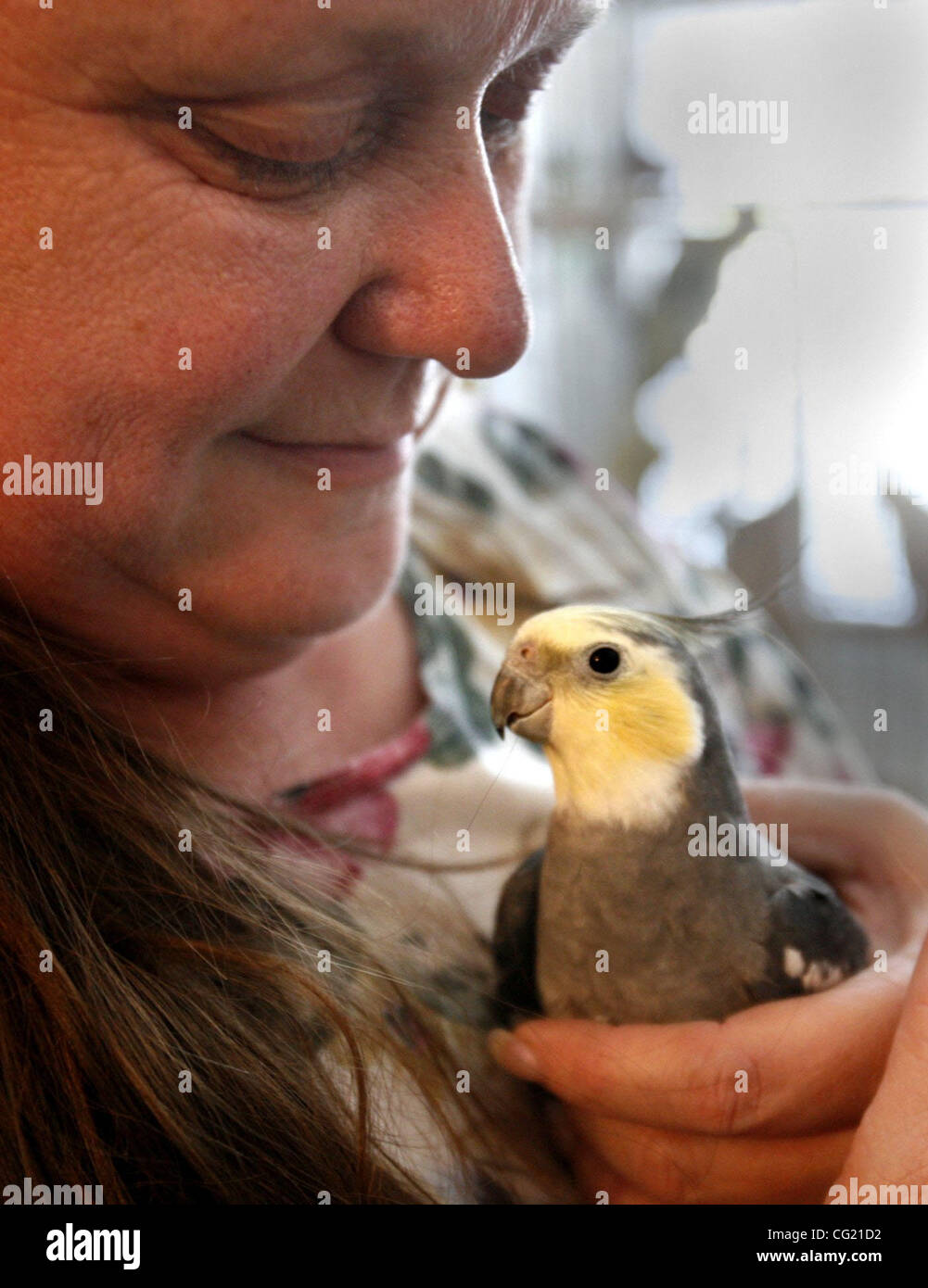 House of holland 2007 hi-res stock photography and images - Alamy