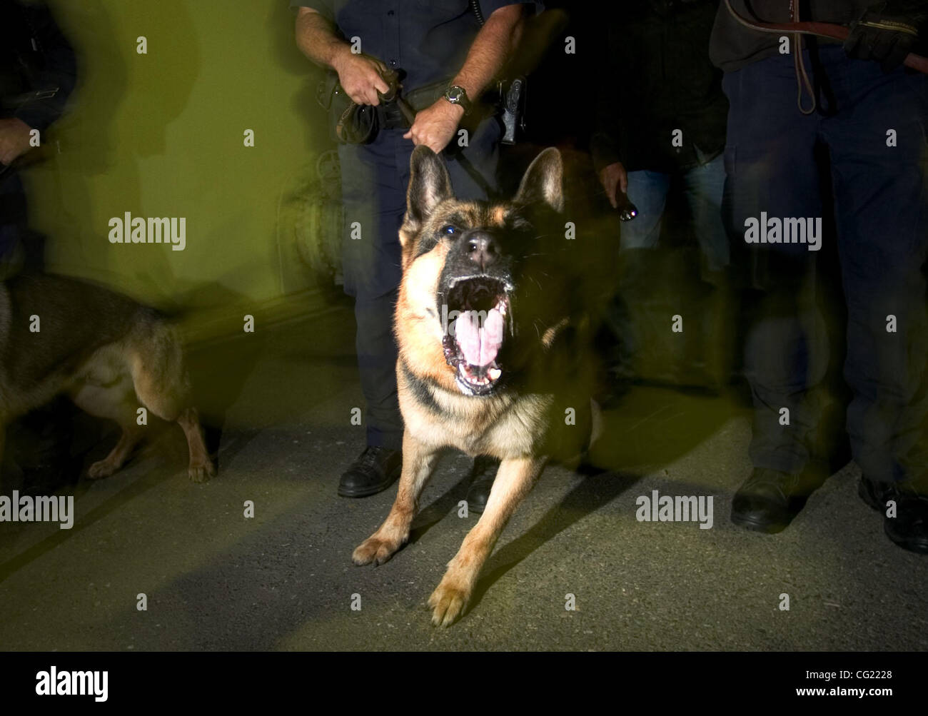 Sacramento police department k9 officer hi-res stock photography and ...