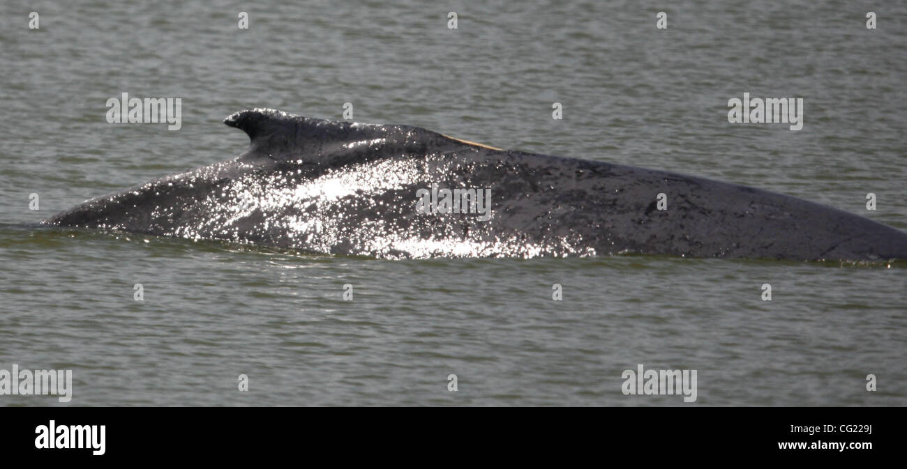 Sacramento deep water channel hi-res stock photography and images - Alamy