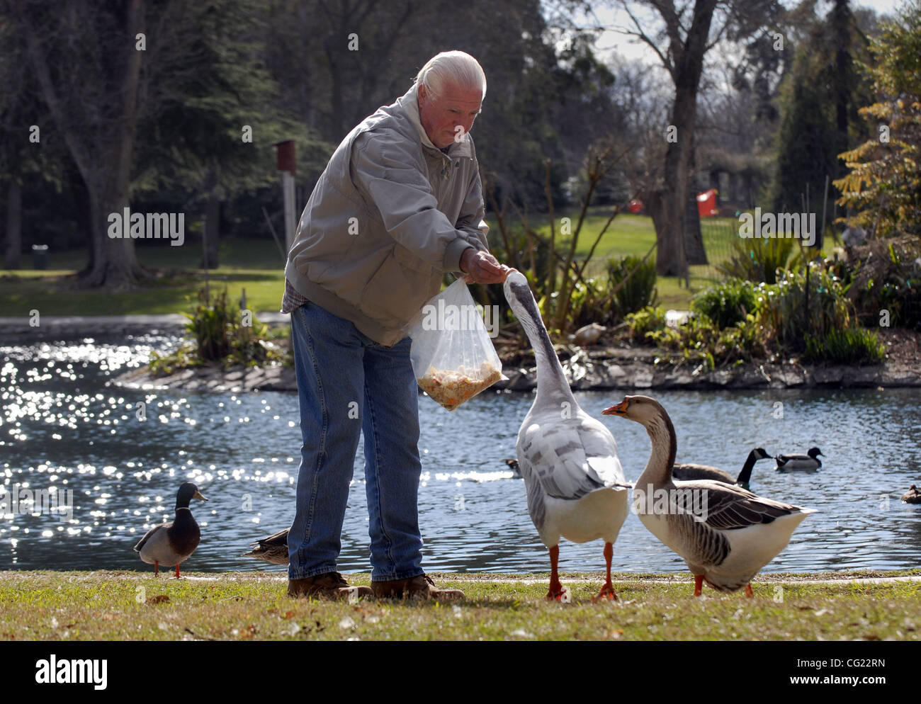 Robert Rohde (cq, of Elverta) hand feeds the birds at William Land Park ...