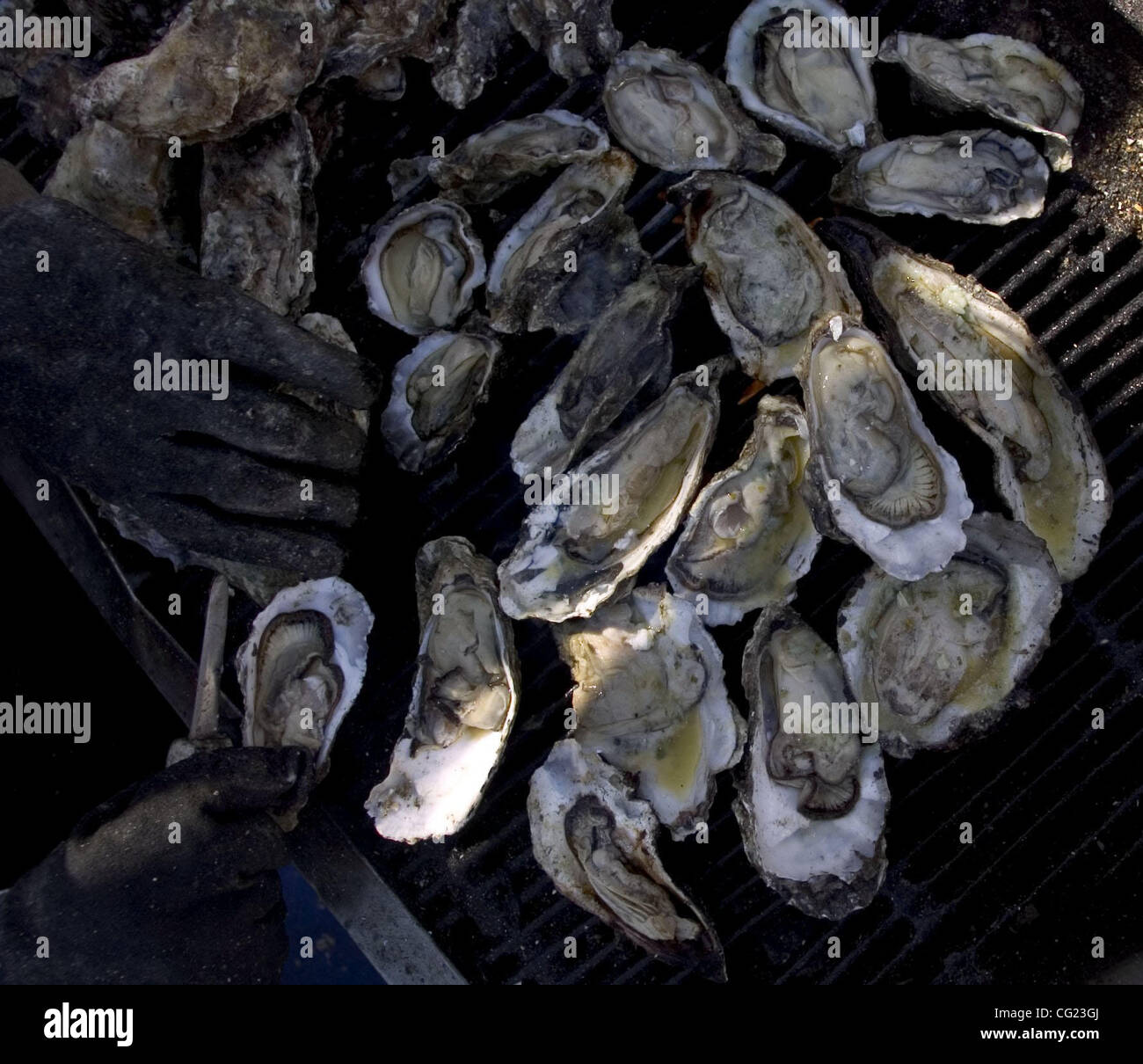 BB&Q oysters at the Crawdad Festival in Isleton, California on Sunday ...