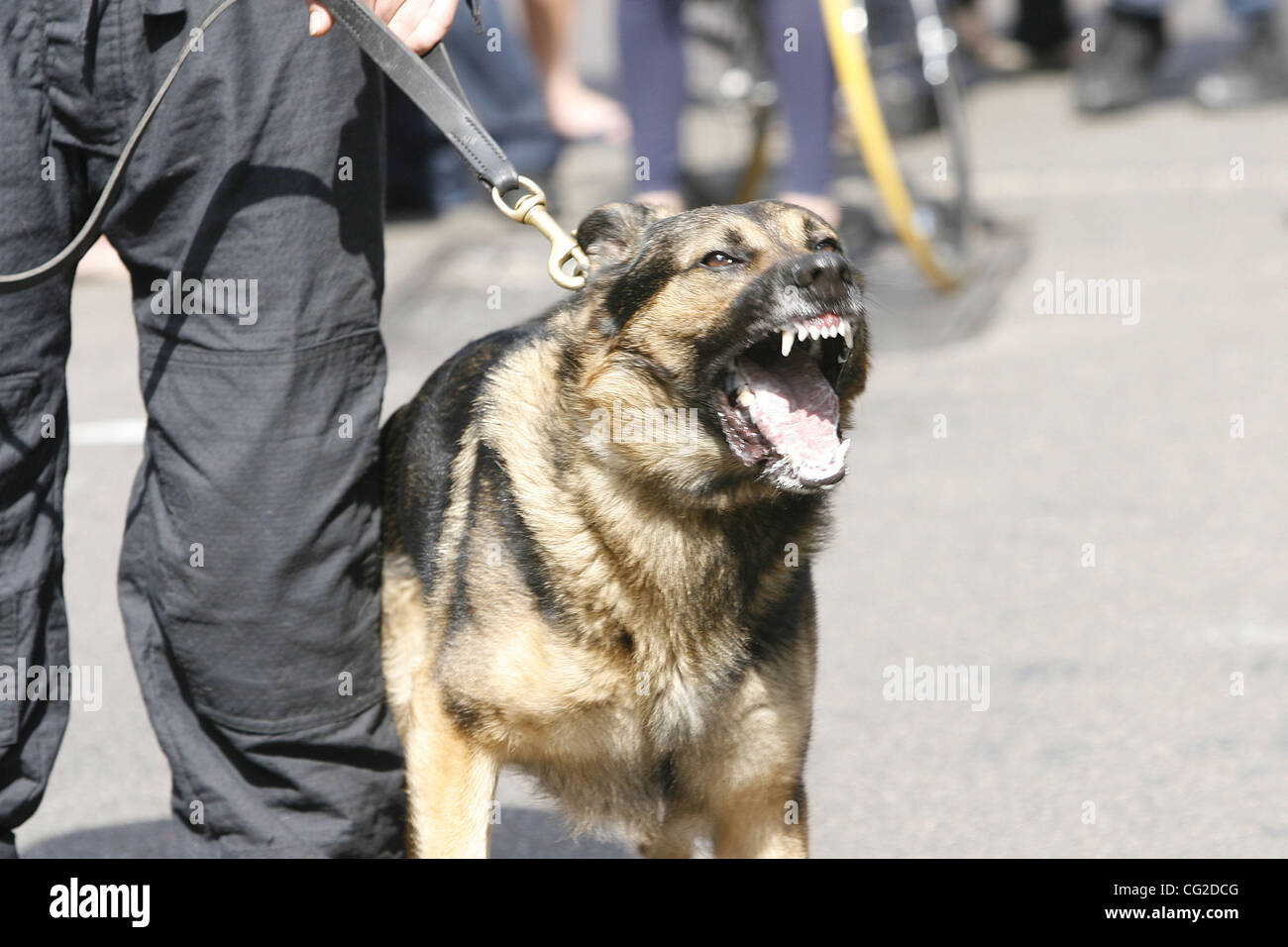 Sept. 3, 2011 - London, United Kingdom - Right wing extremists from the ...