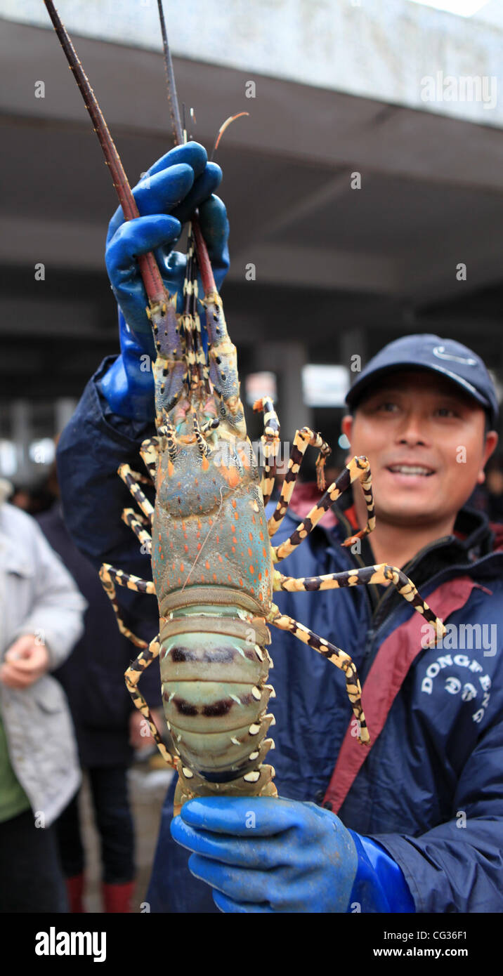 Psychedelic Lobster Chinese fishermen from Songmen town of Wenling ...