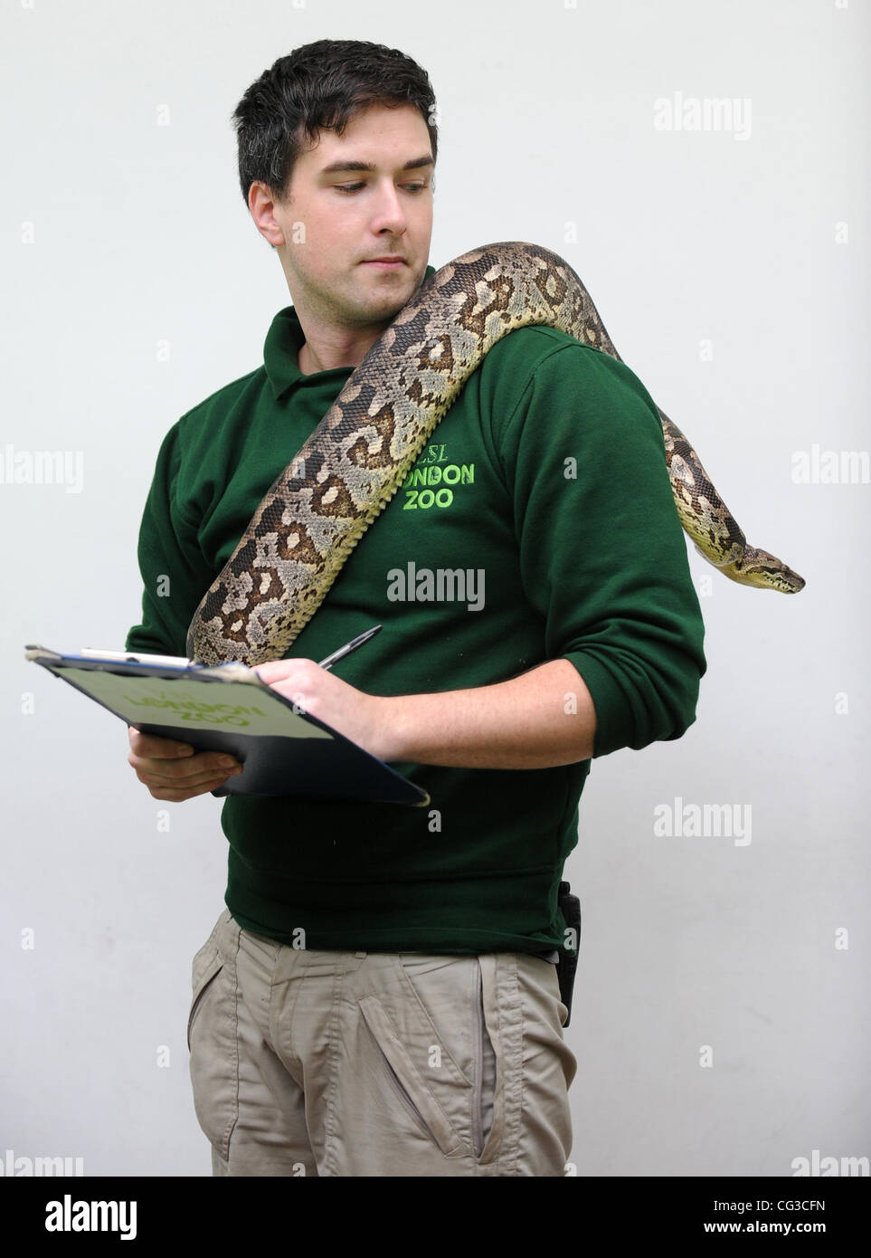 Snake london zoo hi-res stock photography and images - Alamy