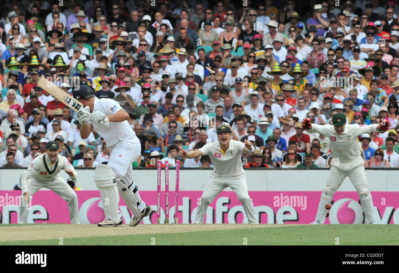 Cricket duck hi-res stock photography and images - Alamy