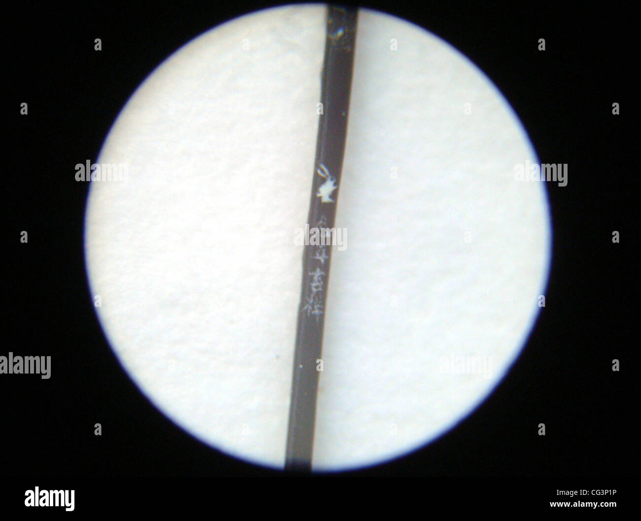 Hair strand microscope hi-res stock photography and images - Alamy