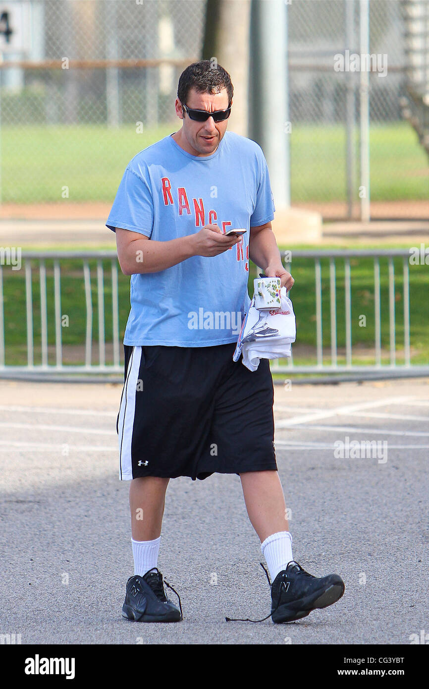 Adam cell hi-res stock photography and images - Alamy