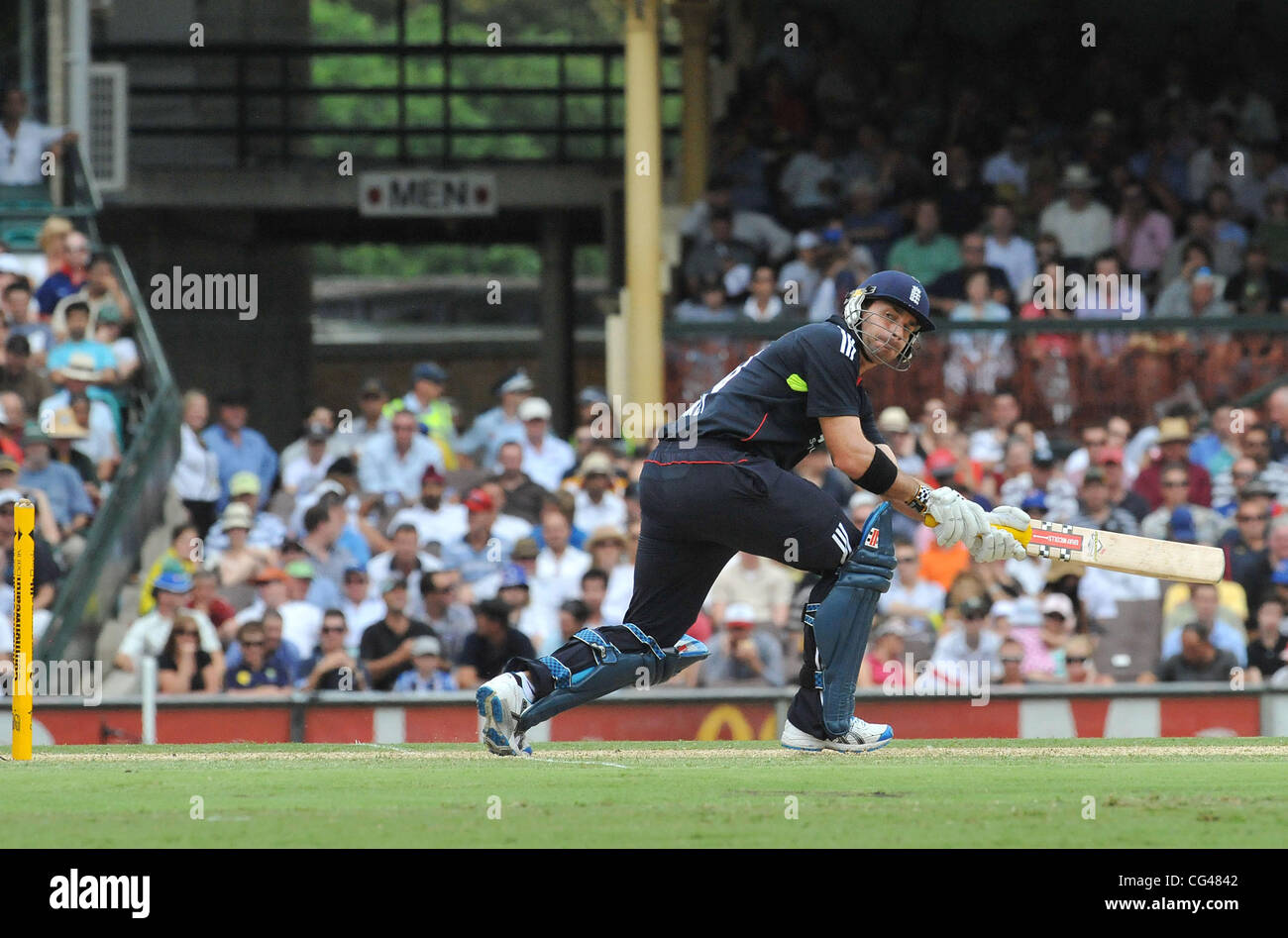Cricket michael yardy hi-res stock photography and images - Alamy