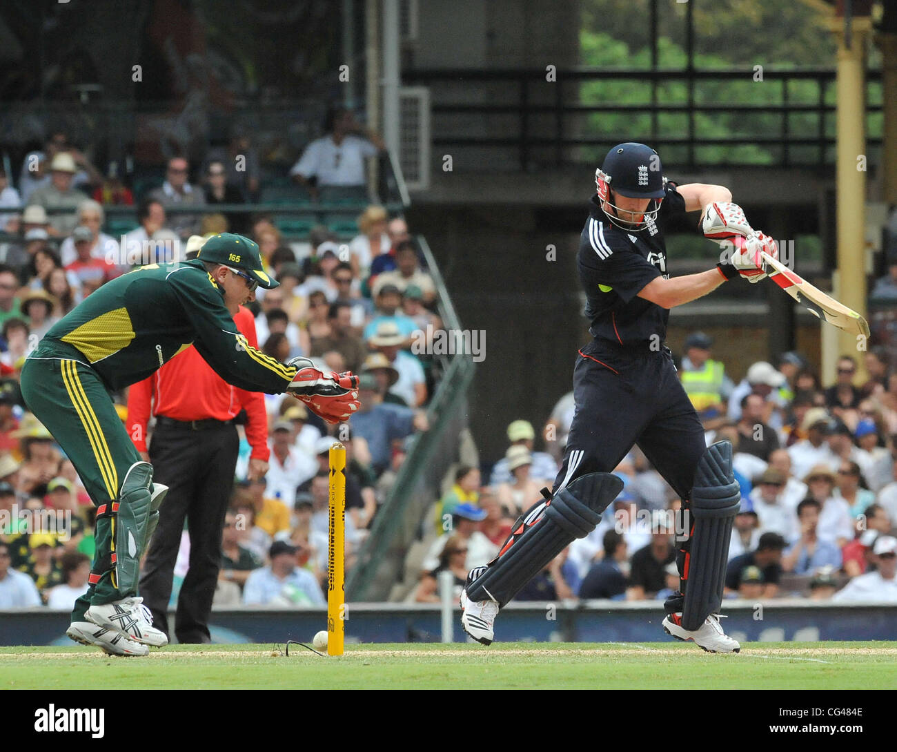 Paul collingwood hi-res stock photography and images - Alamy