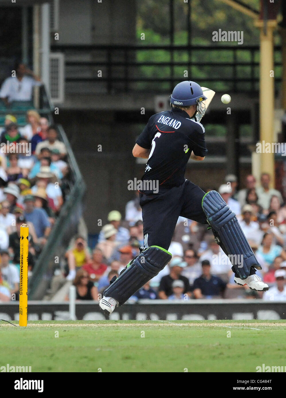 Cricket luke wright hi-res stock photography and images - Alamy