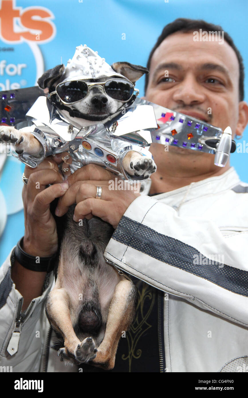 Mayors with cats hi-res stock photography and images - Alamy