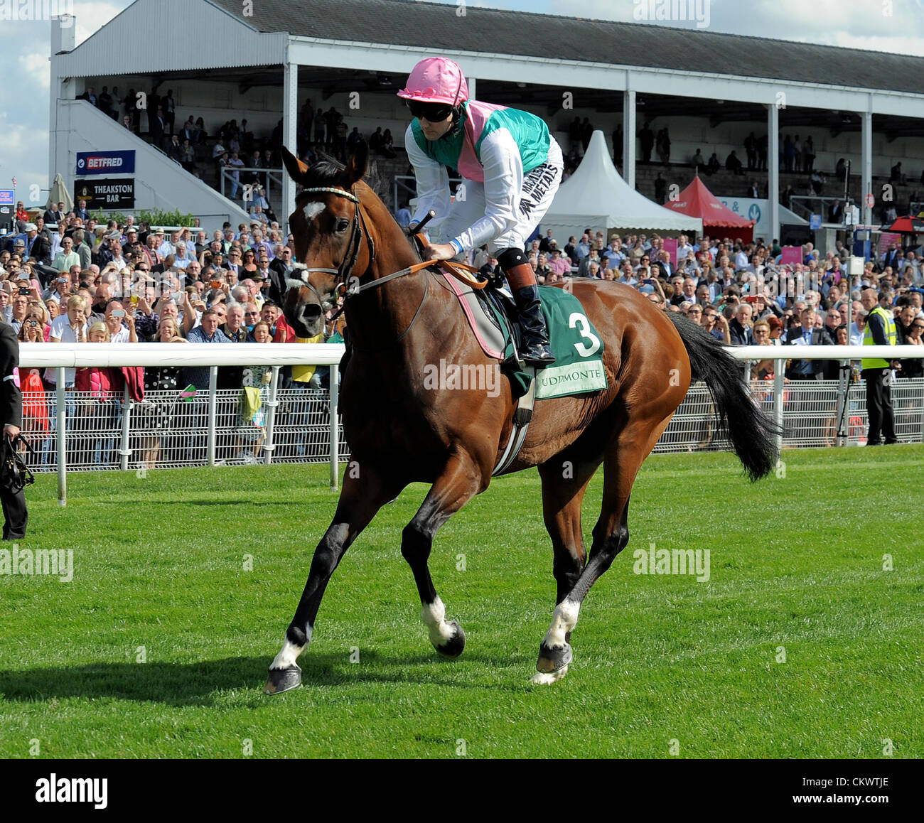 Frankel horse hi-res stock photography and images - Alamy