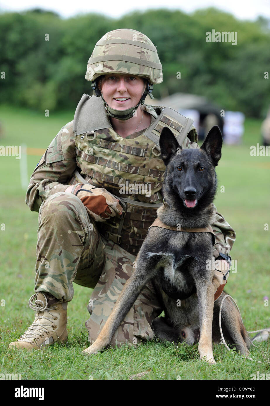 IED and mine detection dog and handler Stock Photo - Alamy