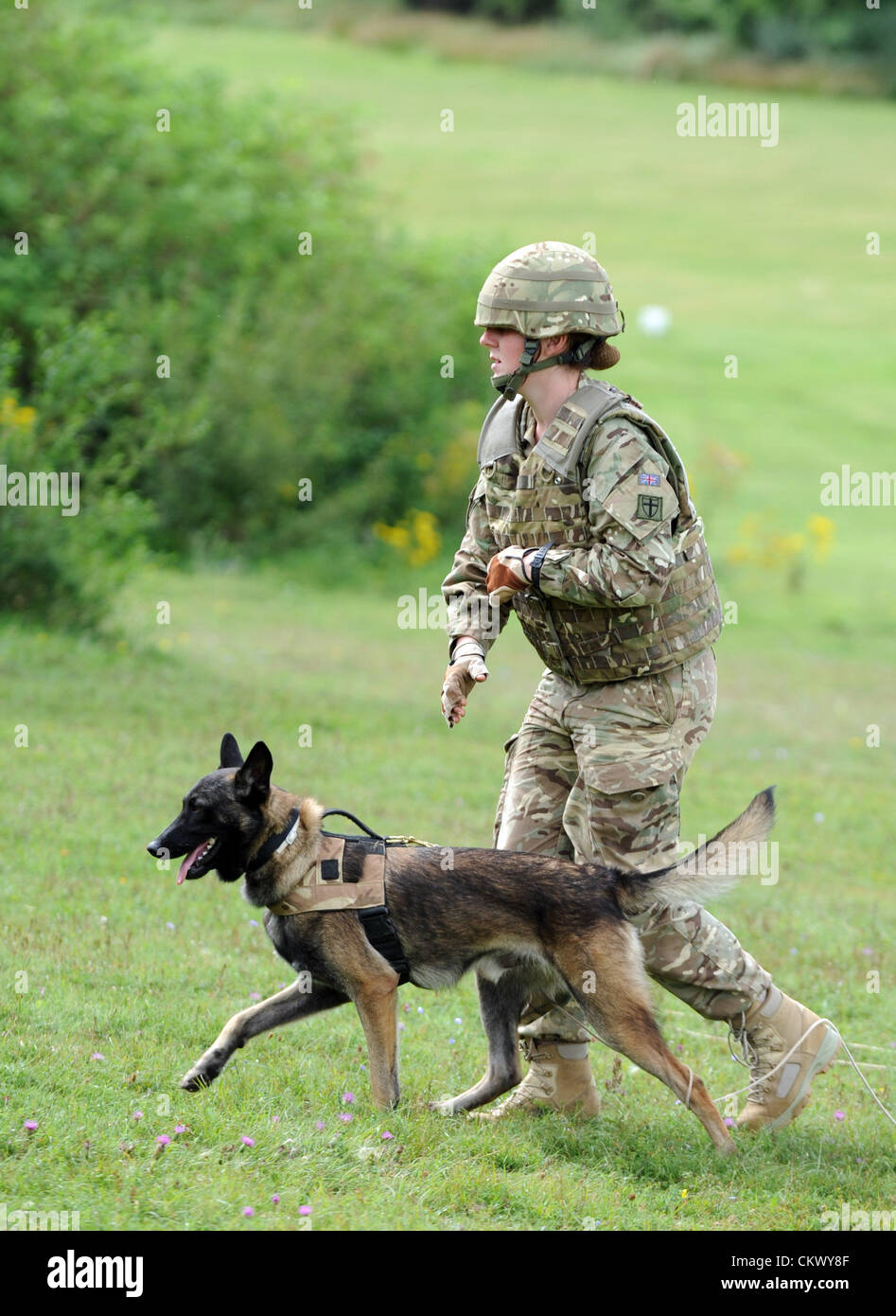 IED and mine detection dog and handler Stock Photo - Alamy