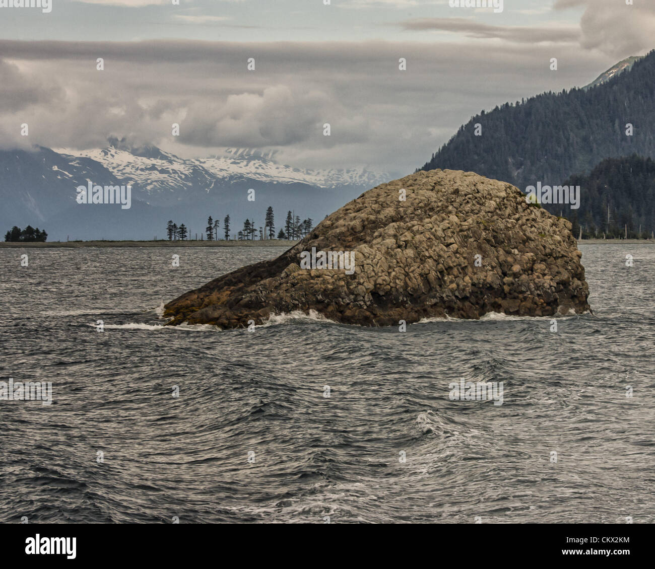 Established 1980 hi-res stock photography and images - Alamy