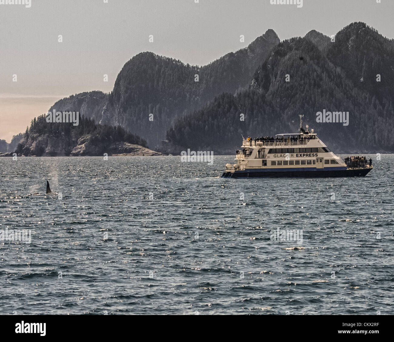 Kenai fjords national park catamaran hi-res stock photography and ...