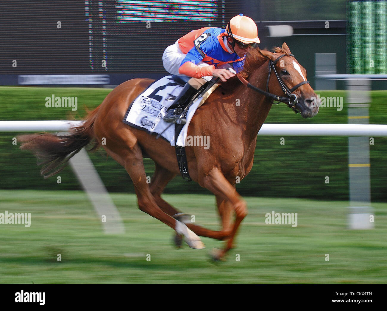 Aug. 25, 2012 - Saratoga Springs, New York, U.S. - Zagora, with jockey ...