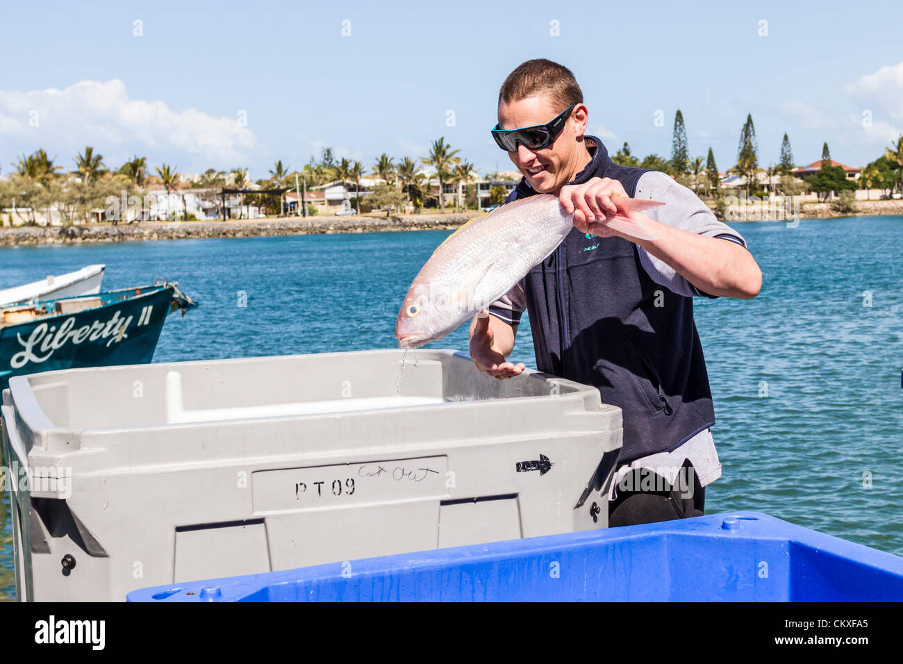 Exported fish hi-res stock photography and images - Alamy